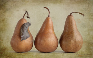Bosc Pear Still Life - Keeping With The Times