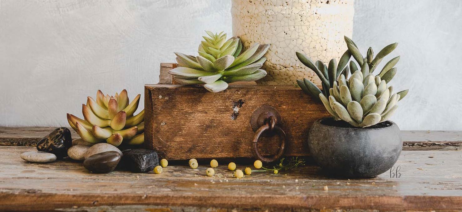 The Truth Behind the Still Life Part II - Keeping With The Times