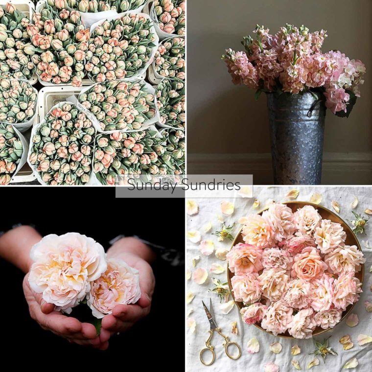 Sunday Sundries Features July 24th and 31st - Keeping With The Times