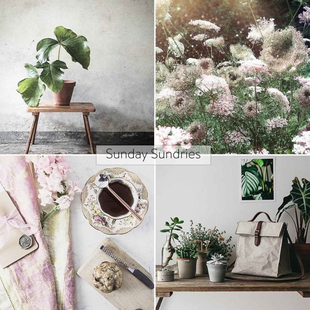 SUNDAY SUNDRIES Archives - Keeping With The Times