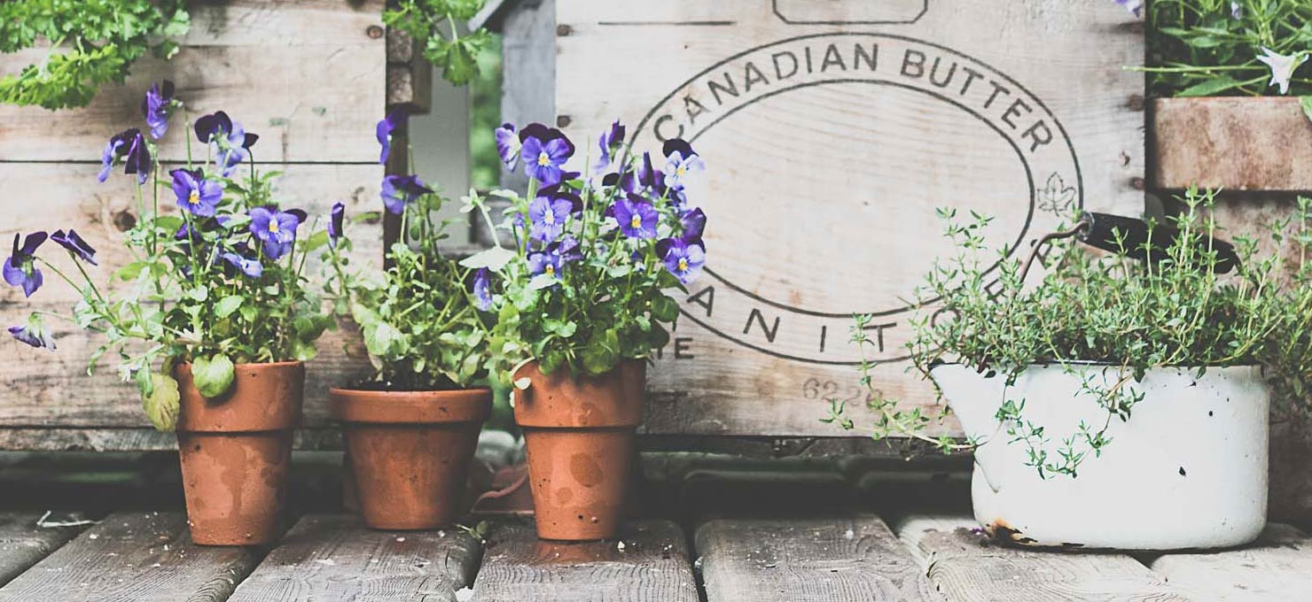 31 Creative Ideas to Inspire your Month of May - Keeping With The Times